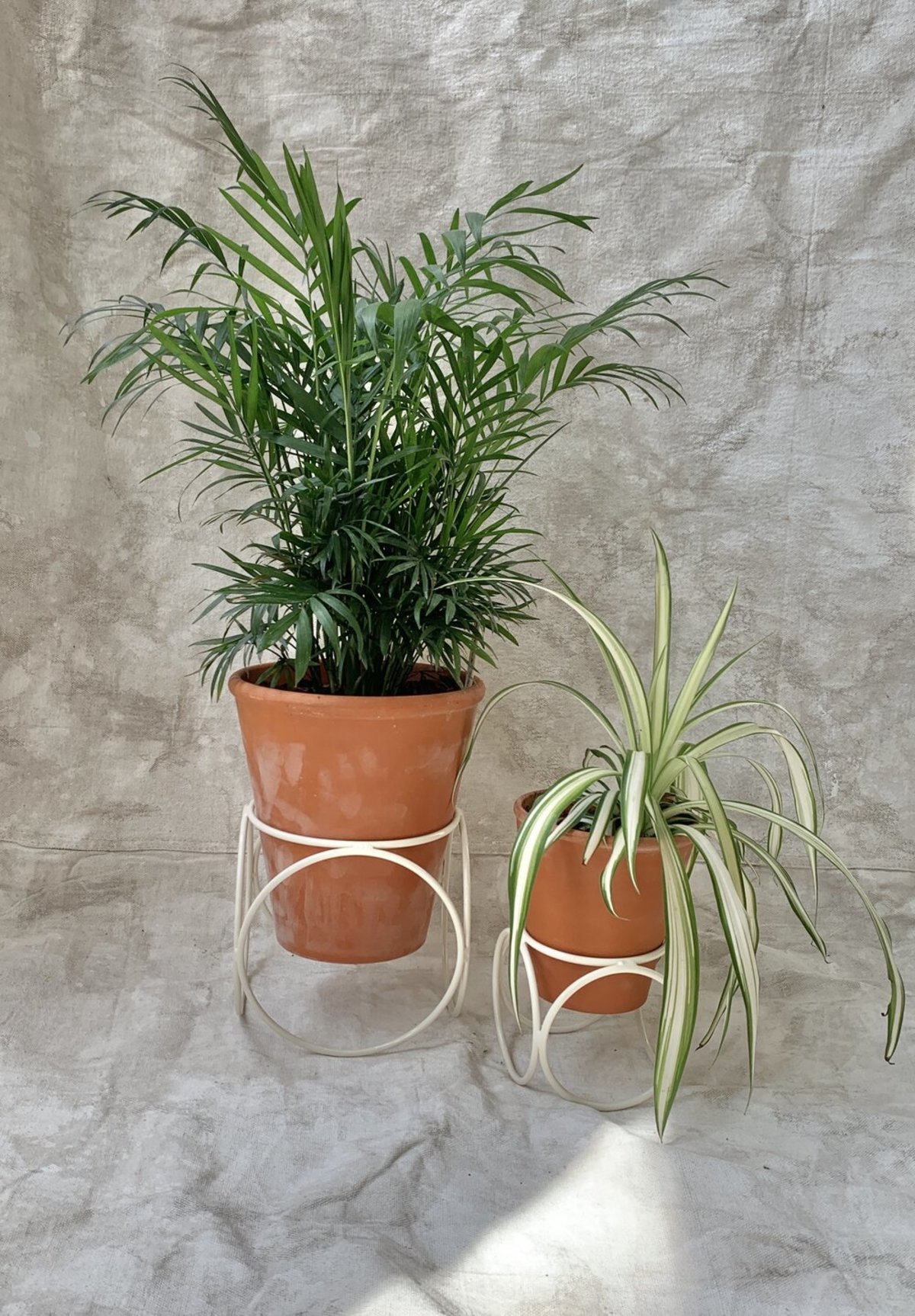 Cuttalossa & Co. Orbital Plant Stands | Garmentory