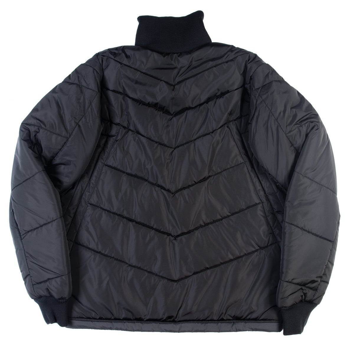 Goldwin Ski Jacket - Black | Garmentory